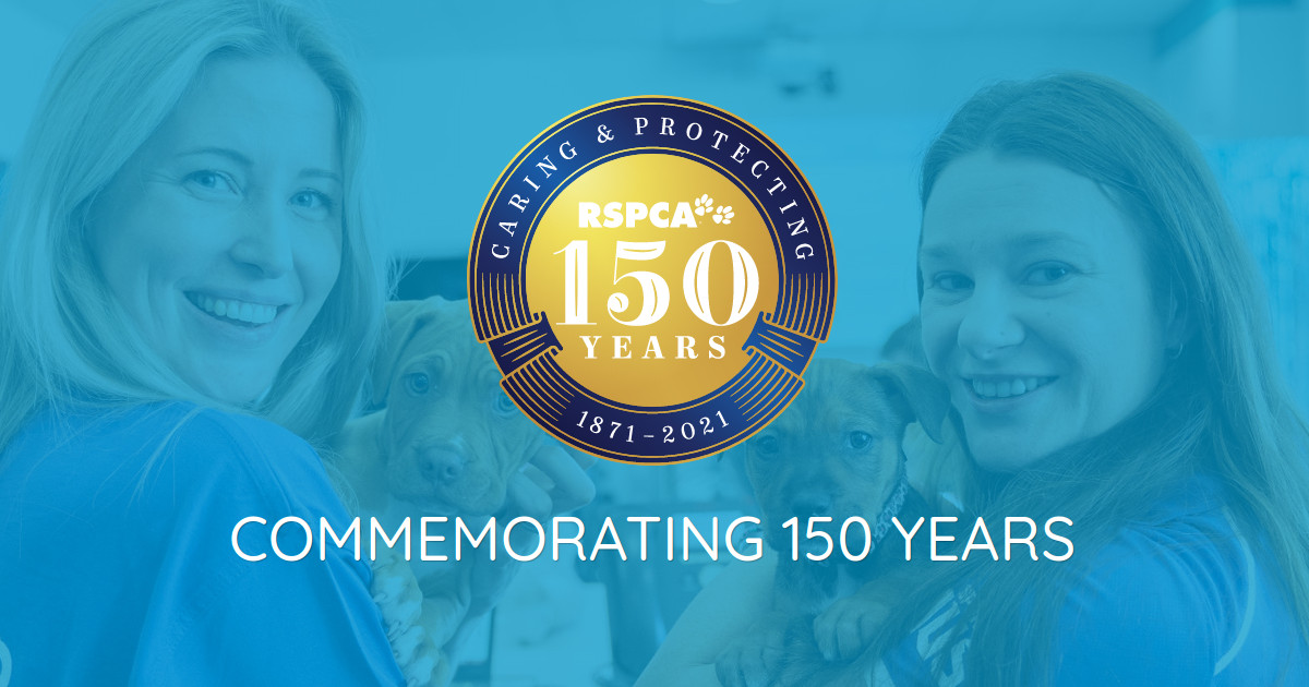 RSPCA 150 Years